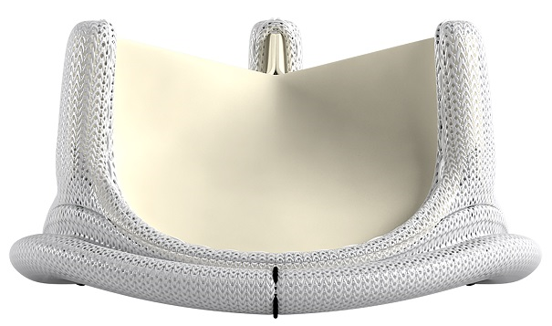 Válvula Magna Ease Aórtica