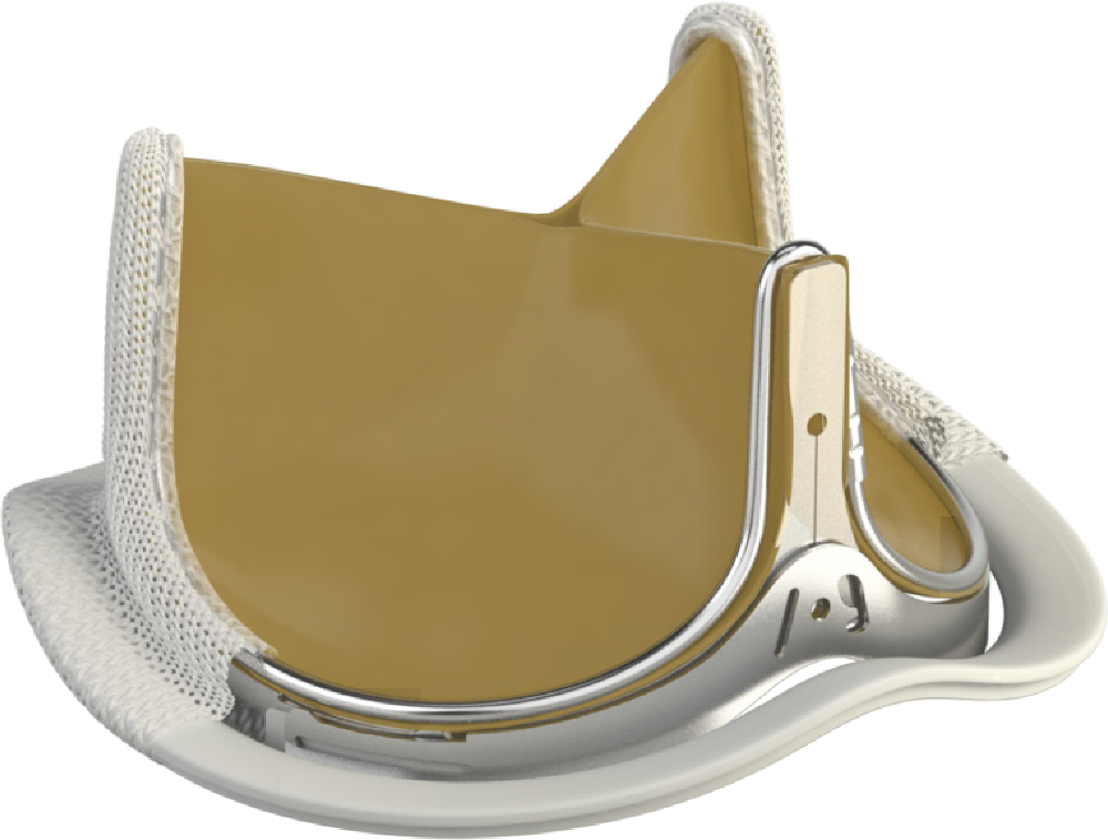 Catéter percutáneo - Monitorización Hemodinámica